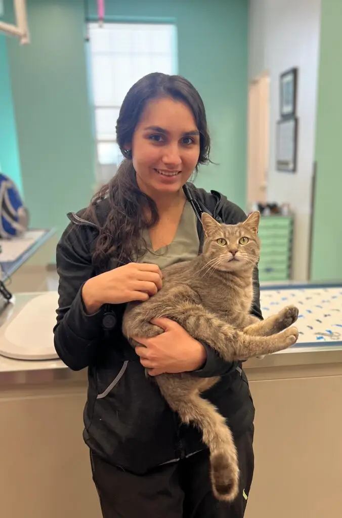 Veterinarian & Animal Hospital in Manchester, MD | Manchester ...